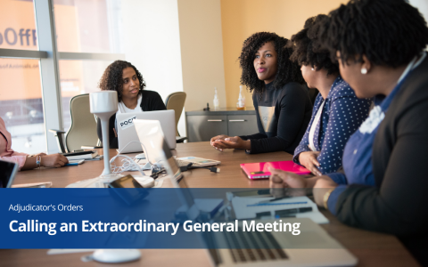 Procedures for Calling an Extraordinary General Meeting - Hartley's ...